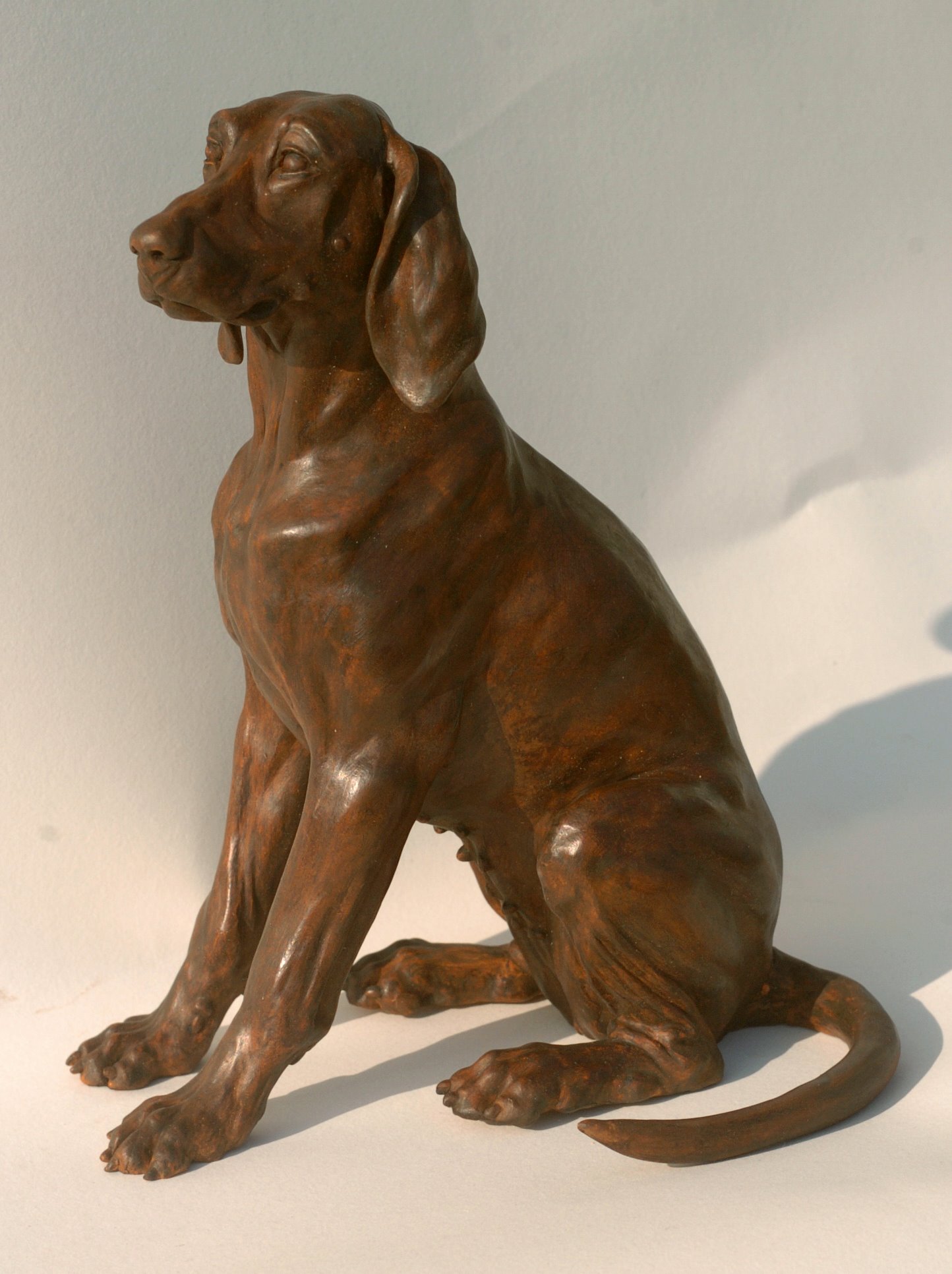 Chien assis - Catherine Farvacques